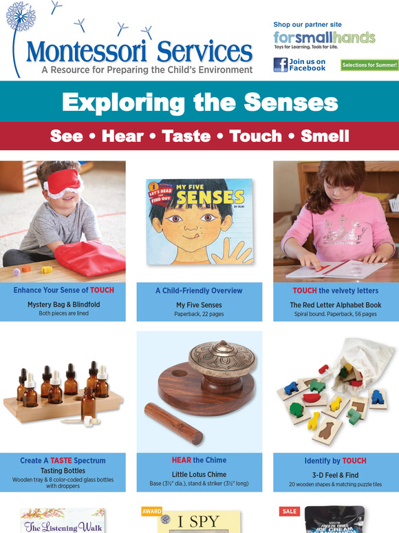 Montessori Services: Explore the Senses with Sensorial Activities | Milled