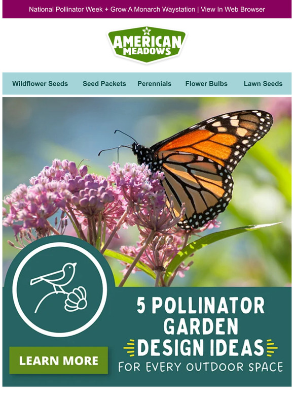 American Meadows: 5 Pollinator Garden Design Ideas For Every Yard | Milled