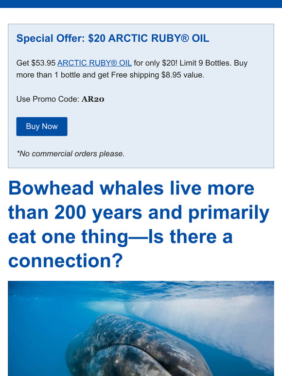 IMMUNOCORP: $20 Arctic Ruby® Oil—Today Only | Milled