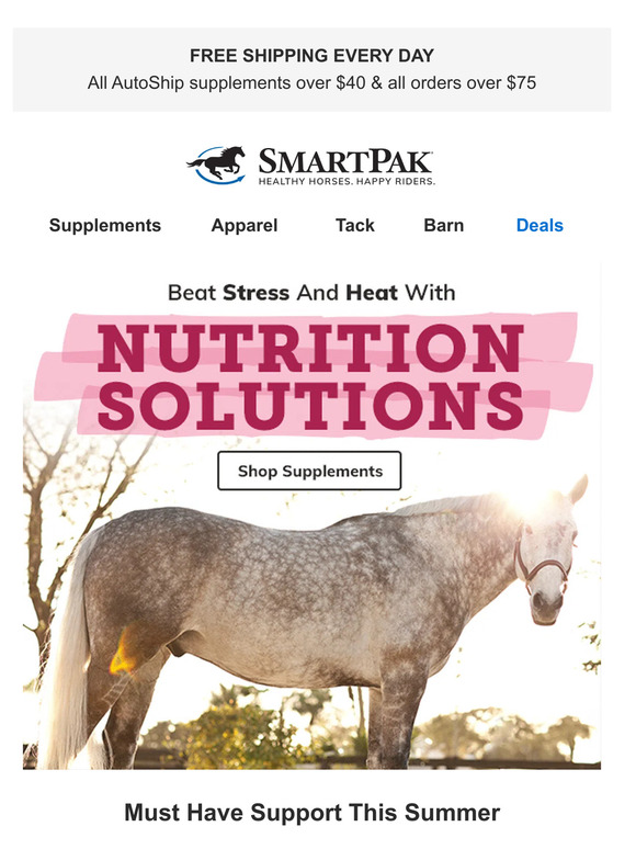 SmartPak Equine: Summer Travel Essentials For Your Horse | Milled