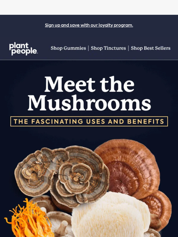 Plant People: Meet the Mushrooms: Nature’s Networkers | Milled