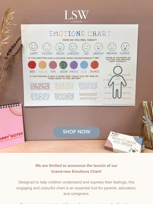 LSW Mind Cards: Meet the Emotions Chart 🌈 | Milled