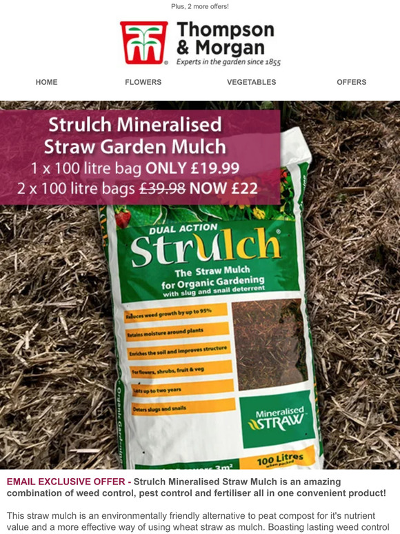 Thompson & Morgan: Weed Suppressing Strulch - Customer Favourite! | Milled