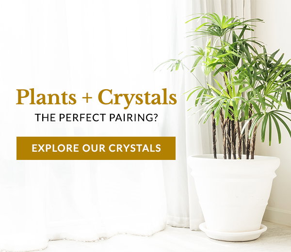 Buddha Power: How to grow your plants with crystals 🌱 | Milled