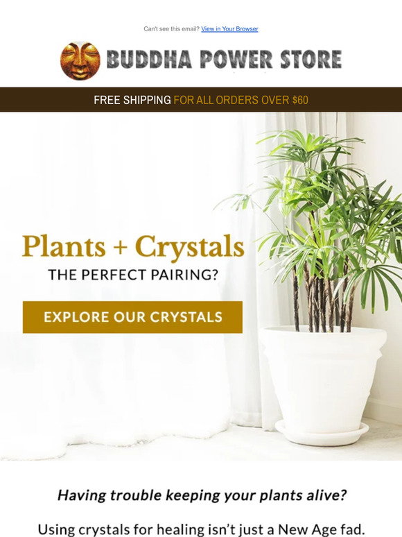 Buddha Power: How to grow your plants with crystals 🌱 | Milled