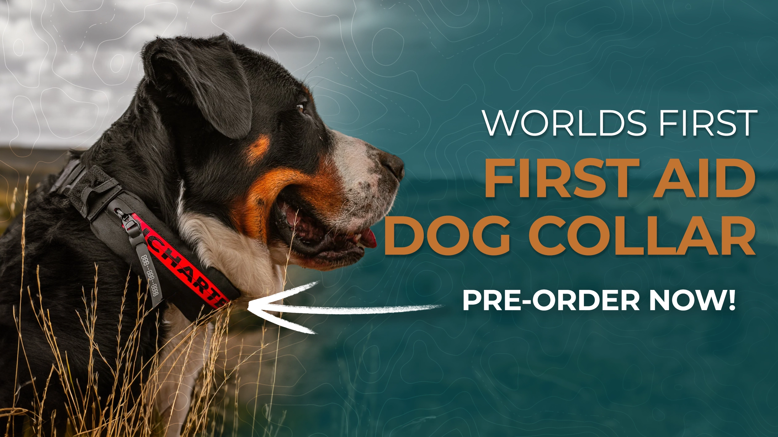 Good Life: Exclusive Pre-order: First Ever, Dog First Aid Kit Collar ...
