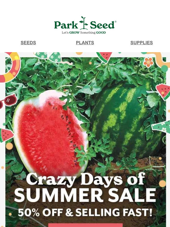 Park Seed: Find Your Favorites – 50% OFF! | Milled