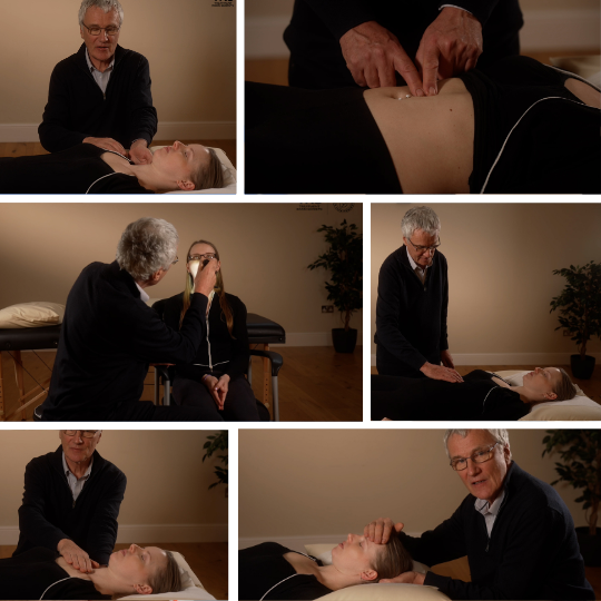 Niel Asher Education: The Vagus Nerve and Polyvagal Theory | Milled