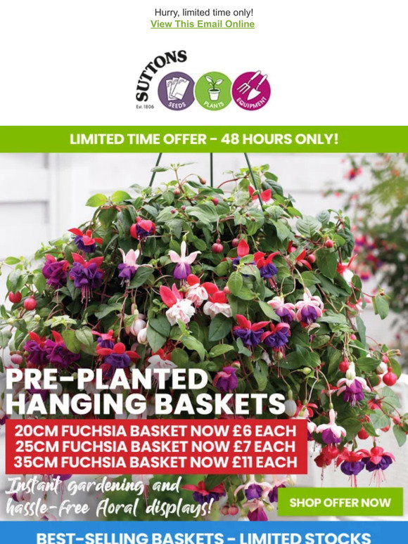 Suttons Seeds: Fuchsia Baskets ONLY £6 EACH! 48 HOURS ONLY! | Milled