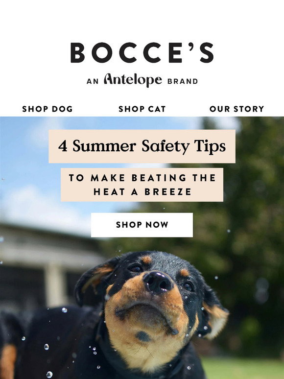 Bocce's Bakery: Summer Safety Tips for Your Pup! ☀️⛱️ | Milled