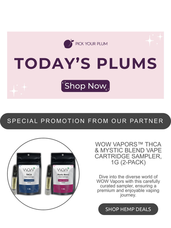 Pick Your Plum: Move Over, Mr. Fan! This Portable AC is Here to Steal ...