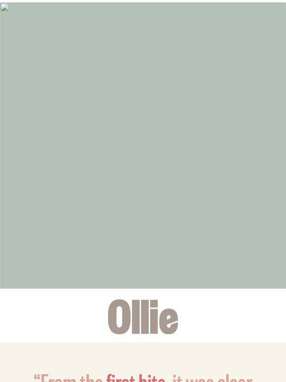 Ollie Pets: Our ratings are through the ruff! | Milled