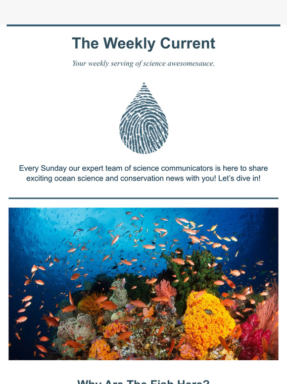 Waterlust: How To Throw A Fish Party | Milled