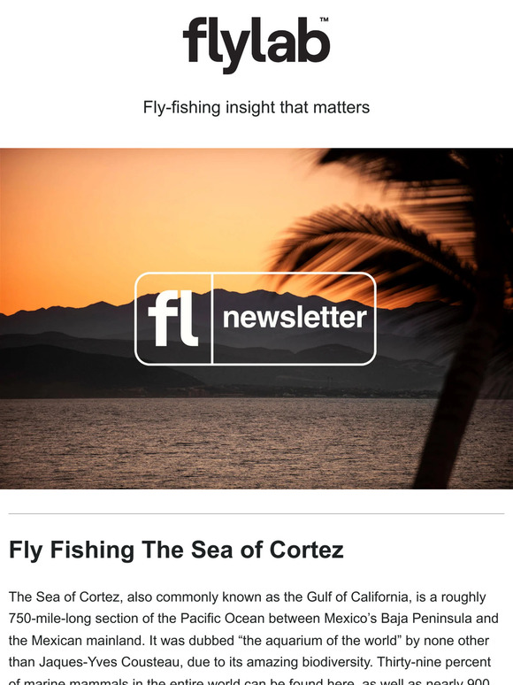 Flylab: Fly Fishing The Sea of Cortez: “The Aquarium of the World” | Milled