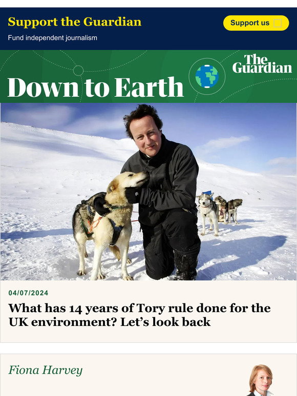 The Guardian: 14 years of failure? | The Guardian | Milled