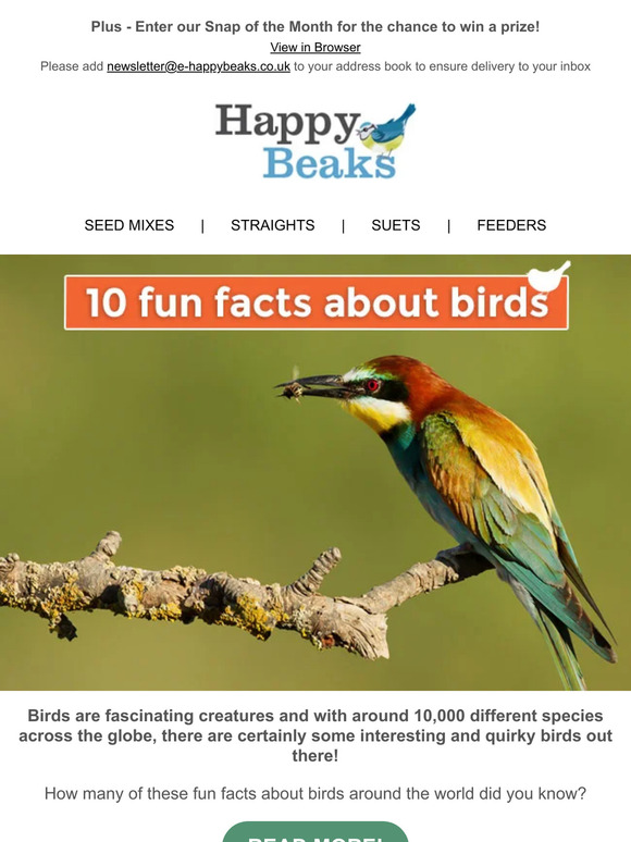 Happy Beaks: 10 fun facts about birds | Milled