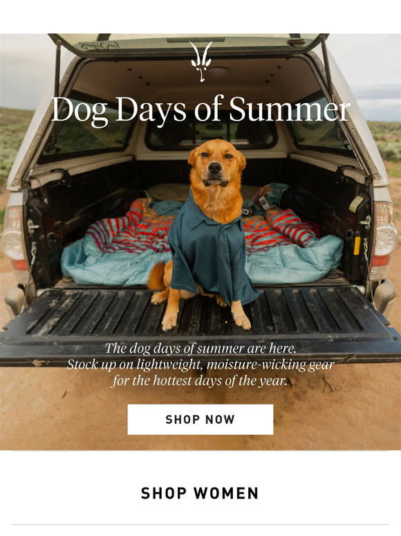 Ibex: The Dog Days of Summer are here. | Milled