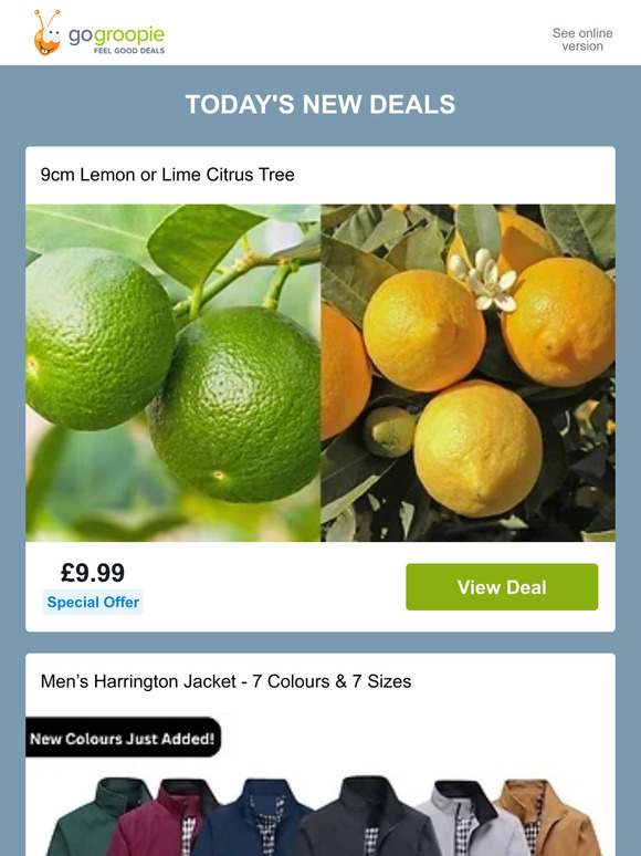 Go Groopie: 🍋 Lemon or Lime Citrus Tree £9.99 | Harrington Jacket £9.99 ...