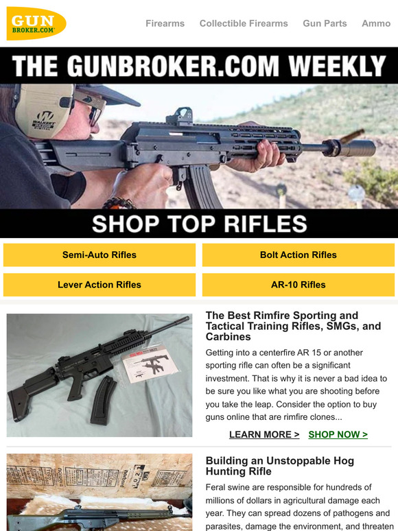 GunBroker: Top Rifles of 2024, and How to Build an Unstoppable Hog ...