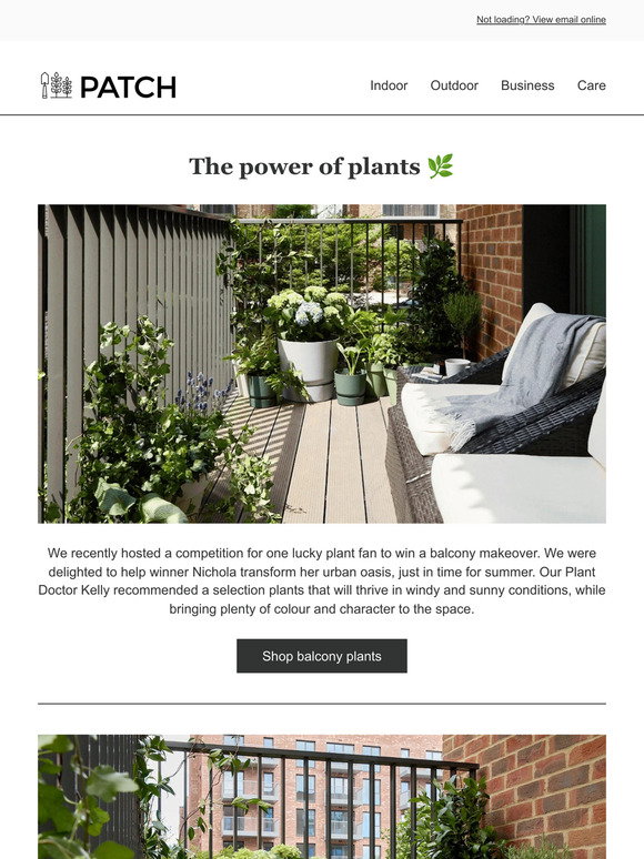 Patch Plants: A balcony transformation 🤩 | Milled