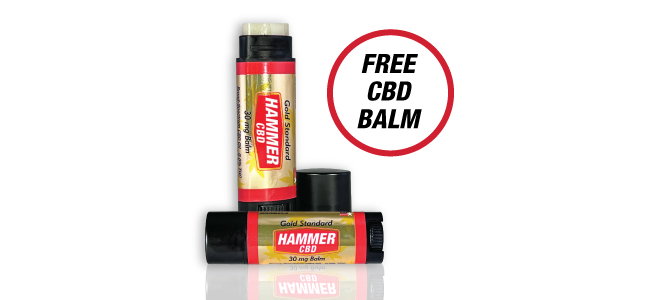 Hammer Nutrition: Sparkling Hydration | Milled