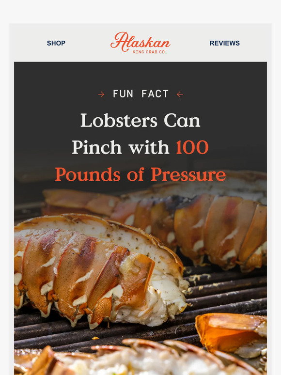 Alaskan King Crab Co.: What’s Inside a Lobster Claw | Milled