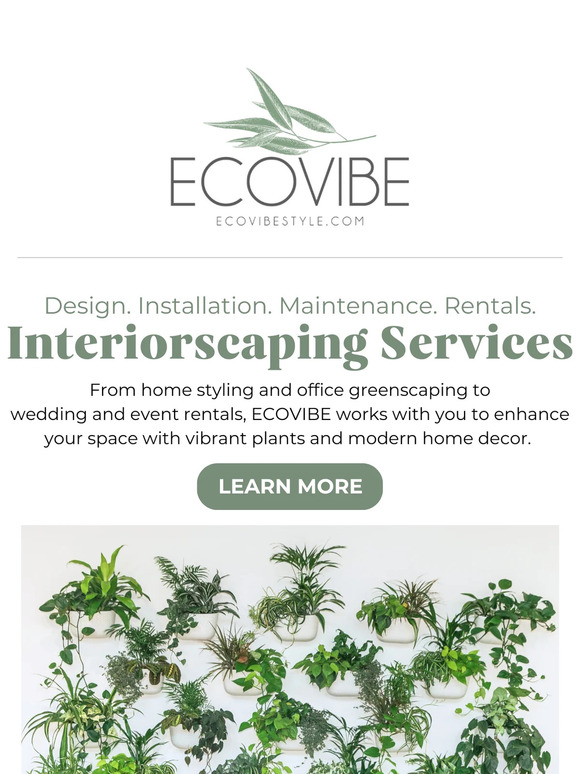 ECOVIBE: Transform Your Space with Interiorscaping 🌿 | Milled