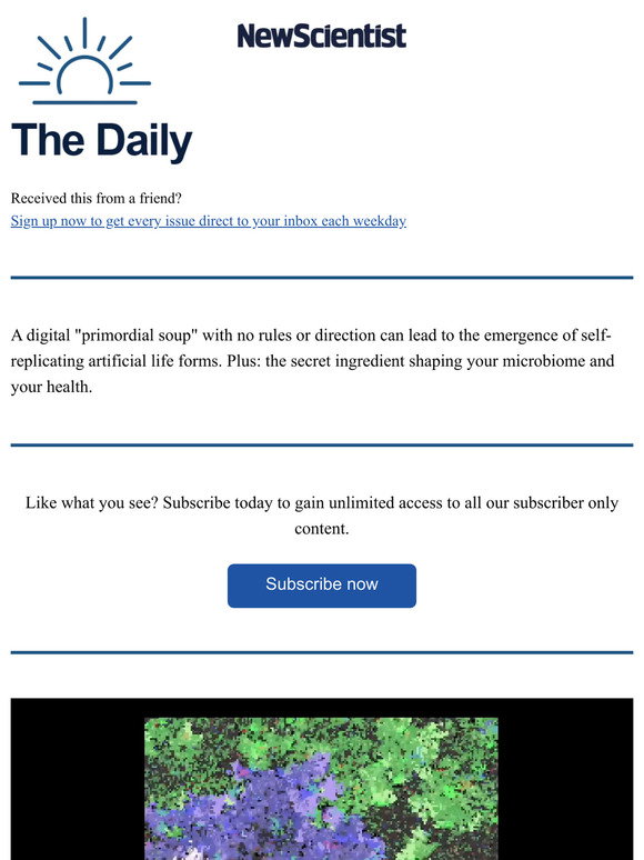 New Scientist: Self-replicating life emerges from a digital “primordial ...