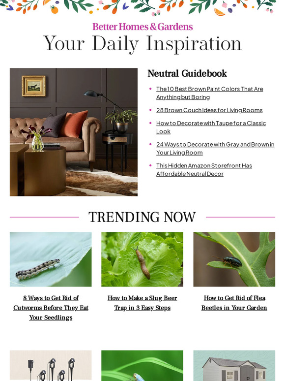 Better Homes and Gardens: The 10 Best Brown Paint Colors That Are ...