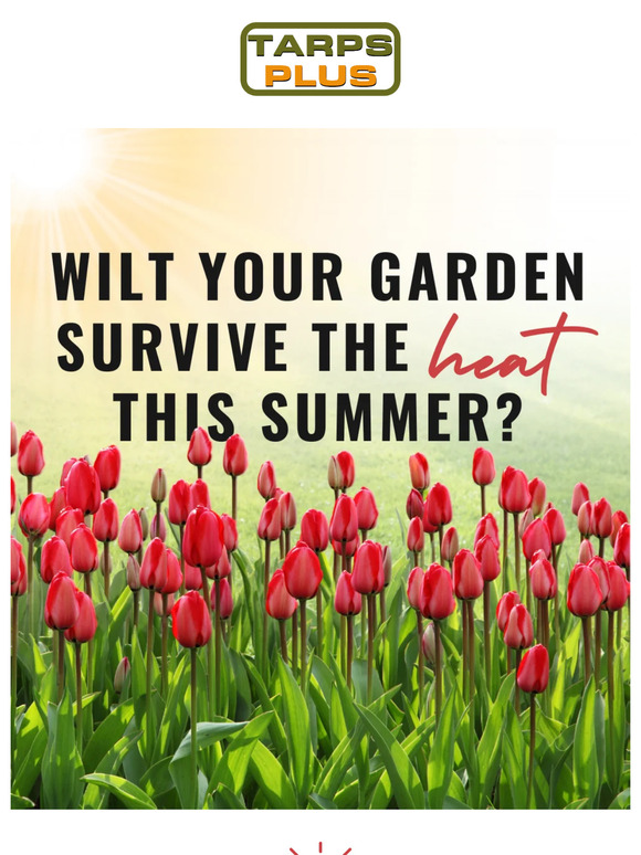 Tarps Plus: Wilt your garden survive the heat this summer? | Milled