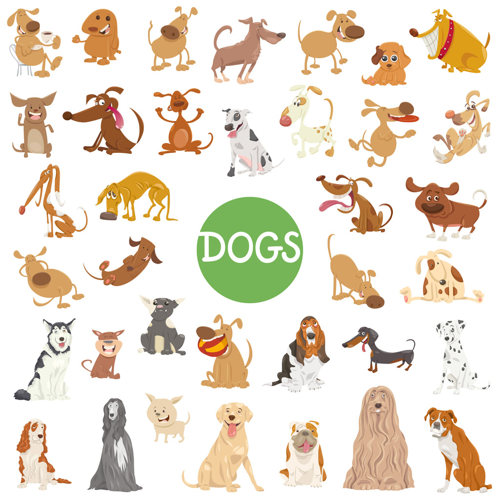 woodbests.com: 🐶The dog ranking list is revealed, the top ten most ...