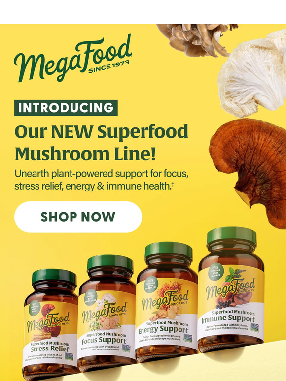 MegaFood: INTRODUCING our NEW plant-powered line-up | Milled