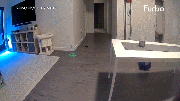 Furbo: Prime Day is here! Get 60% Off 🎉 | Milled