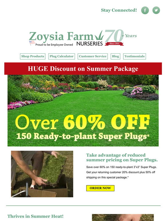 Zoysia Farms: Save 60% on Super Plugs & Half-Off Shipping! | Milled