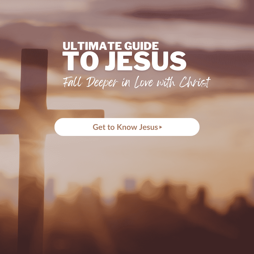 Eden: `Why Jesus? Expanded Edition` by Nicky Gumbel | Ultimate Guide to ...