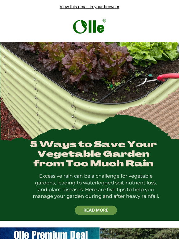 Olle Gardens: 5 Ways to Save Your Vegetable Garden from Too Much Rain ...