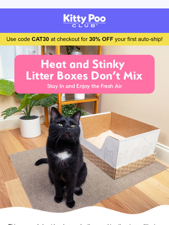 Kitty Poo Club: It's too hot to have a stinky litter box 🥵 | Milled