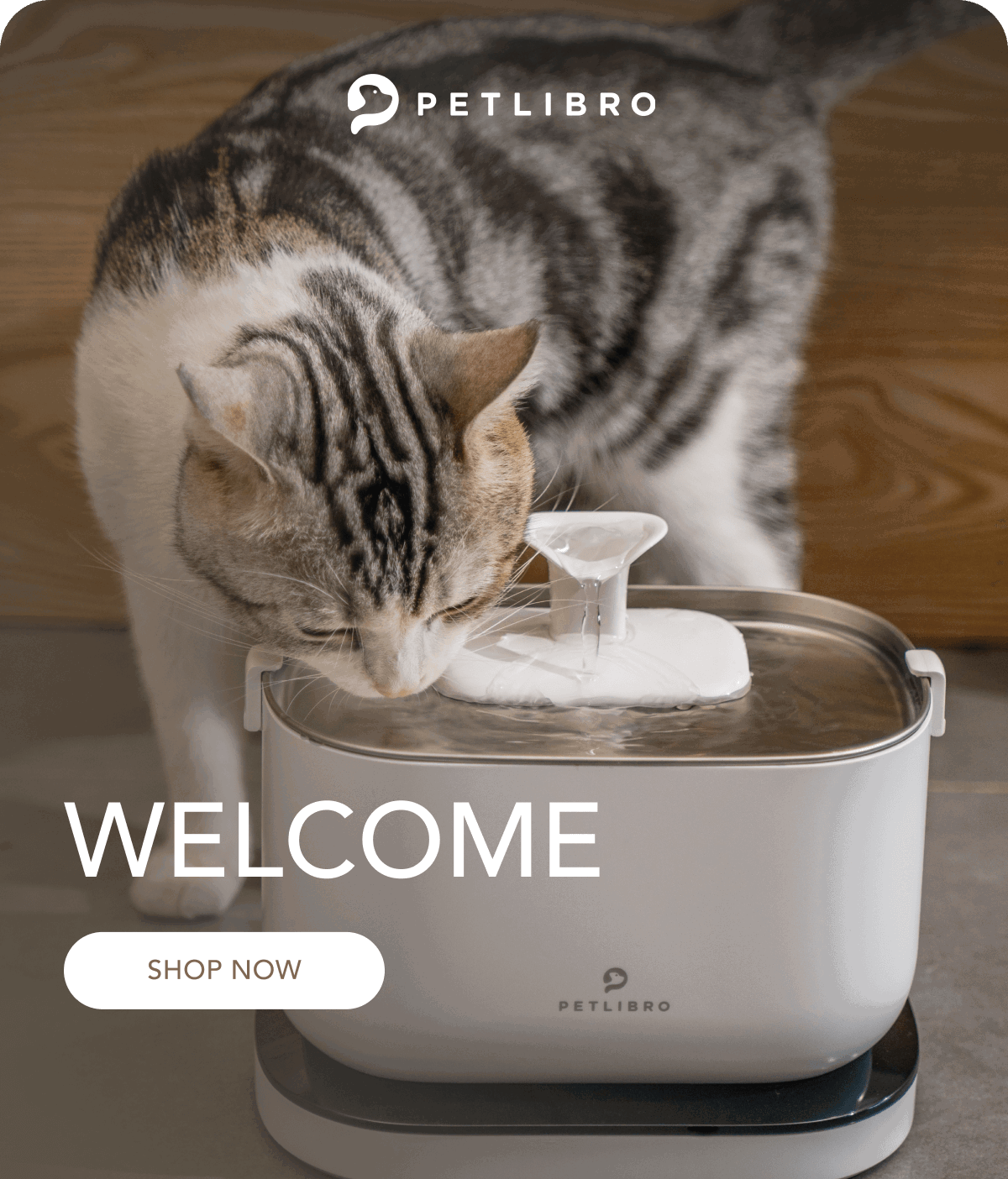 PetLibro: Welcome to PETLIBRO 😸 | Milled