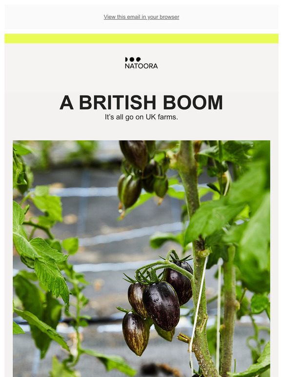 Natoora: A British Boom | Milled