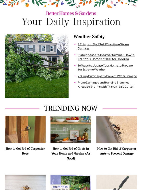 Better Homes and Gardens: 7 Things to Do ASAP If You Have Storm Damage ...