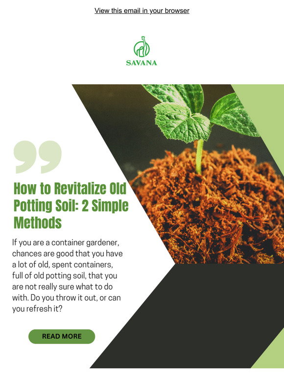 savanagarden.com: How to Revitalize Old Potting Soil: Two Simple ...