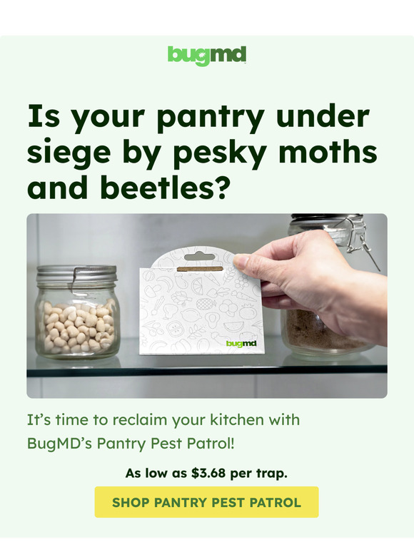 Bug MD: Why Pantry Pest Patrol is Your Best Friend? | Milled