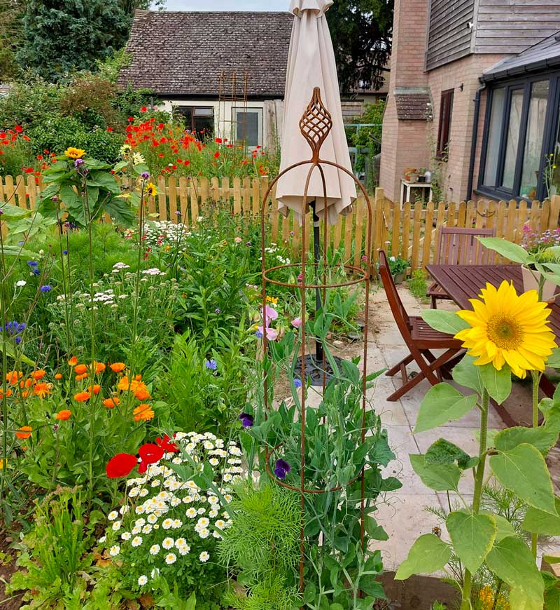 Agriframes: Winner Announced | Beautiful Garden Competition 2024 | Milled