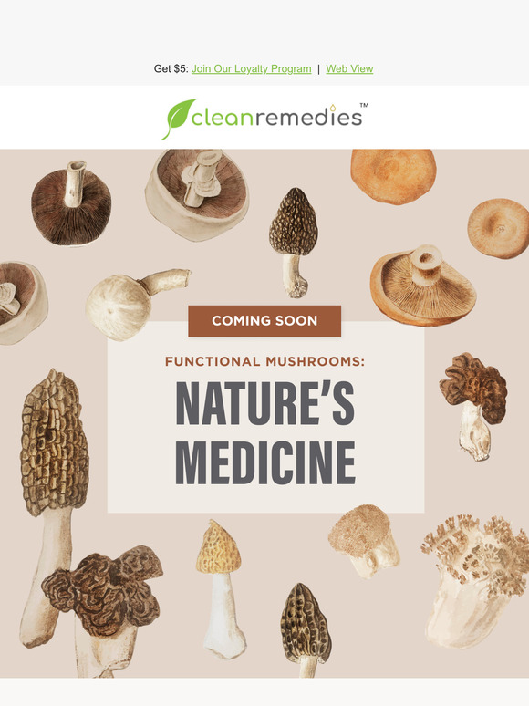 Clean Remedies: 🍄 The nutritional powerhouses you should know | Milled