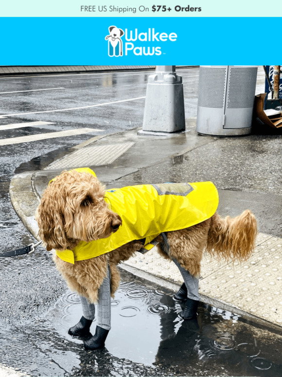 Walkee Paws: Don't let the rain get in the way of your walks. | Milled