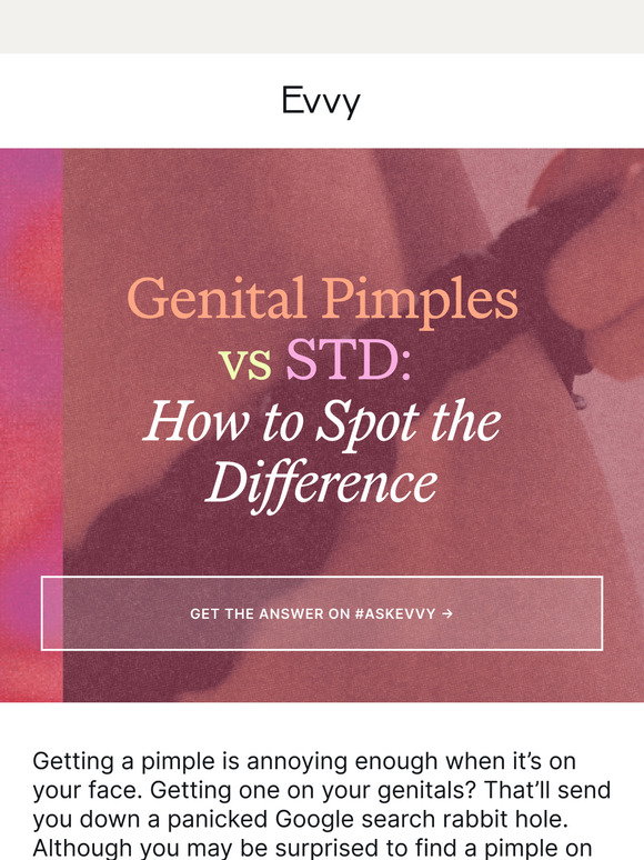 Evvy: Genital Pimples vs STD: How to Spot the Difference | Milled