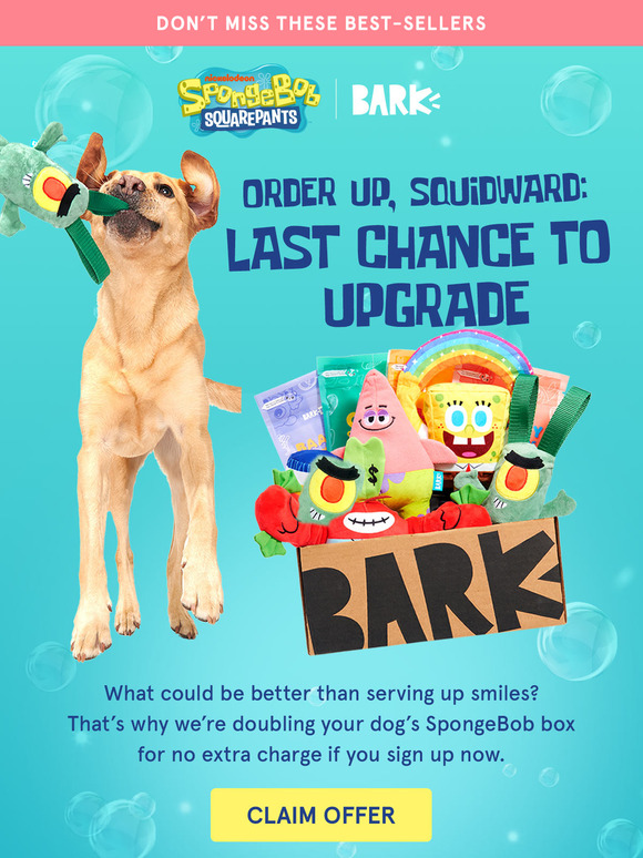 BarkBox: 🚨 SpongeBob Fans Alert 🚨 | Milled