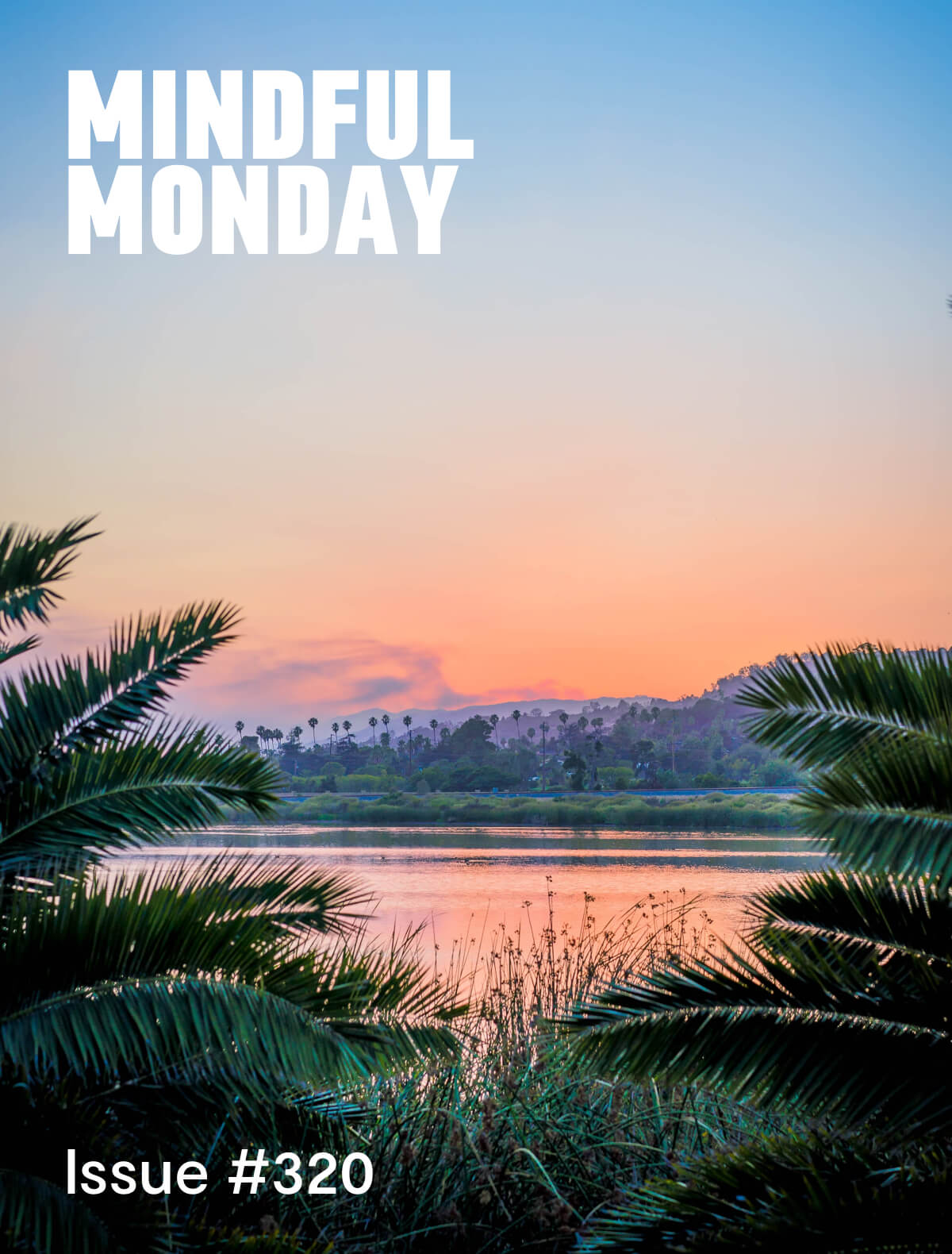 MindJournal: Mindful Monday / 320 / Anger, SAD and how to shred your ...