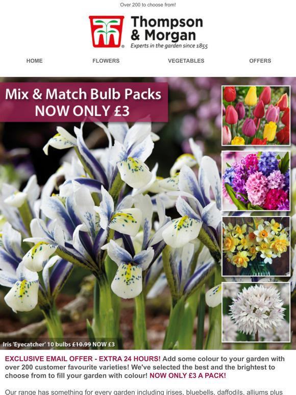 Thompson & Morgan: Only £3! Mix & Match Bulb Packs EXTENDED 24 HOURS ...