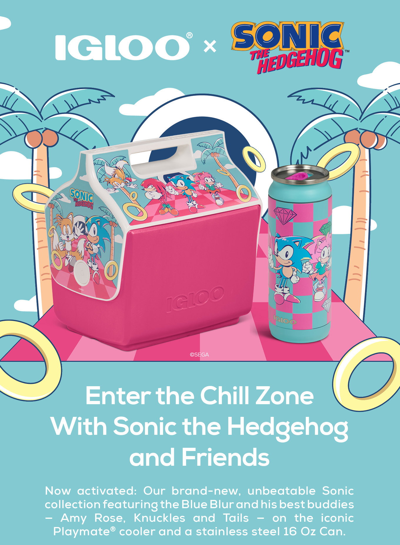 Igloo Coolers: Sonic the Hedgehog and Friends: Activate cooler mode!🔛 ...